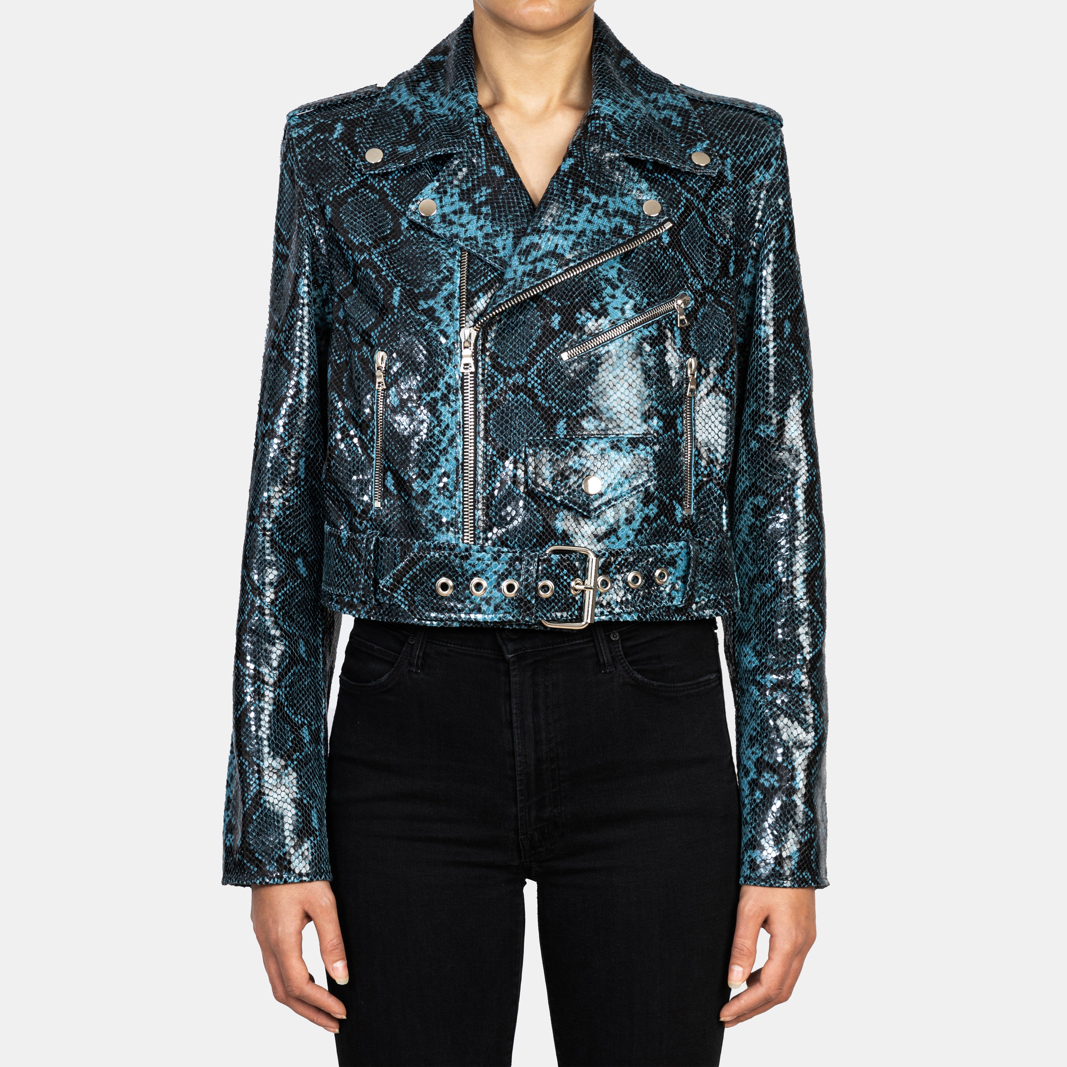 Snake – By The Namesake